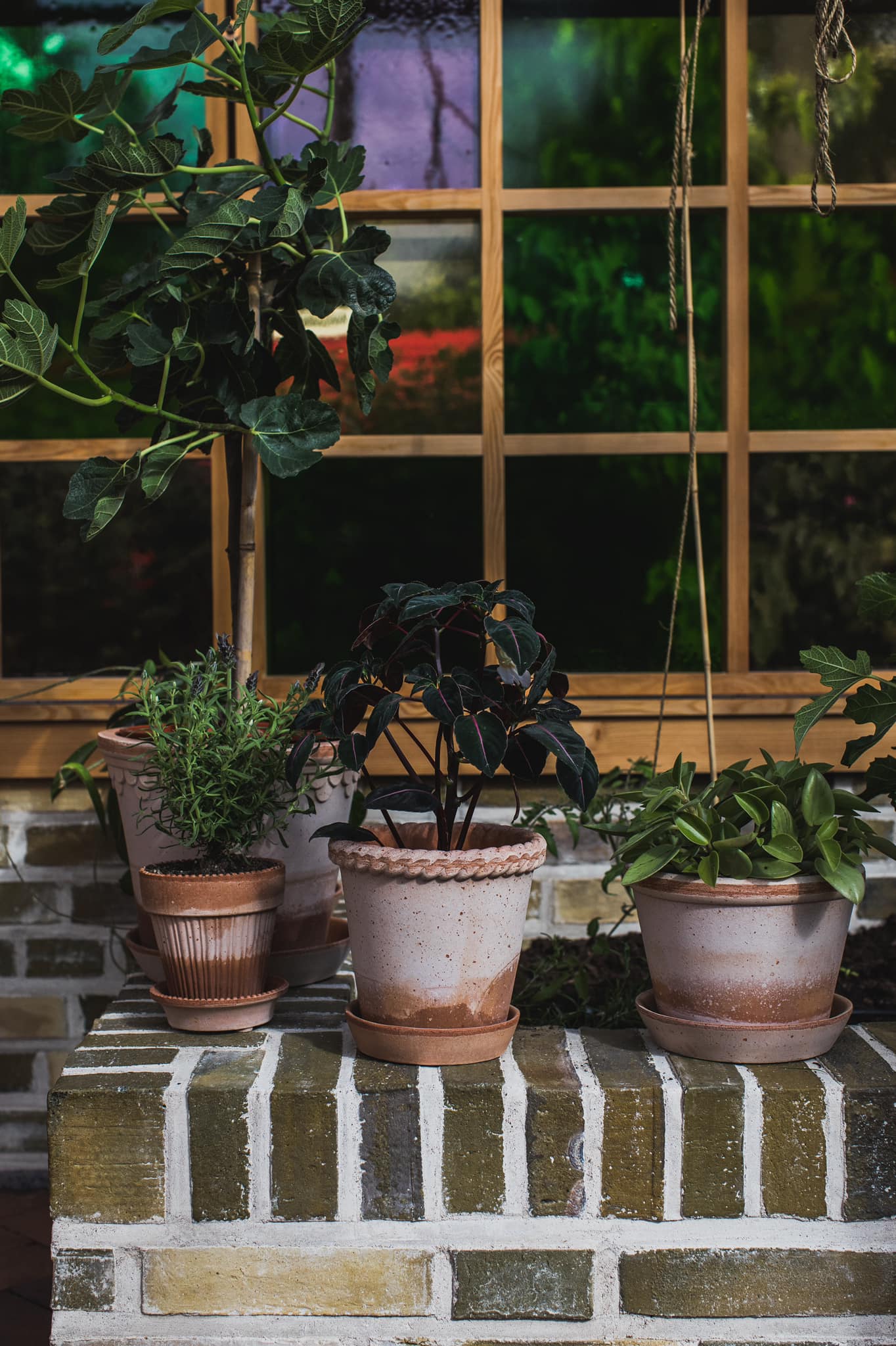 Guidelines for Durable Pots & Thriving Plants – Cigale & Fourmi